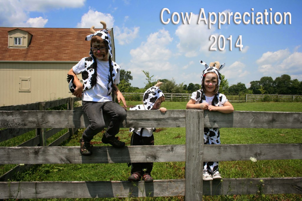 10 Years of Cow Appreciation! – Messymom