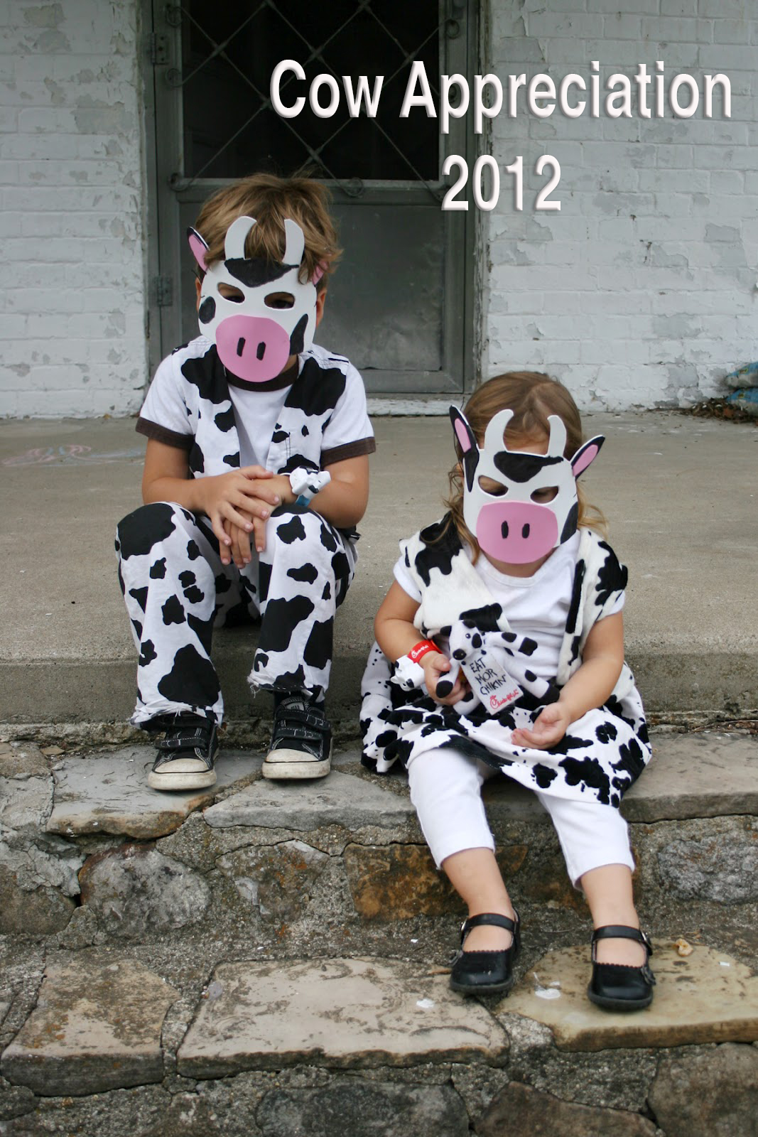 10 Years of Cow Appreciation! – Messymom