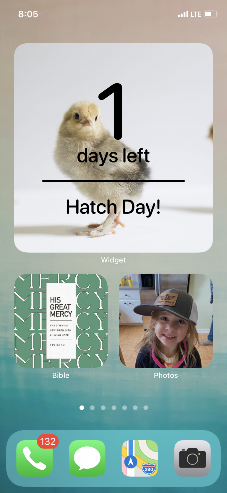 Hatching Project – Messymom